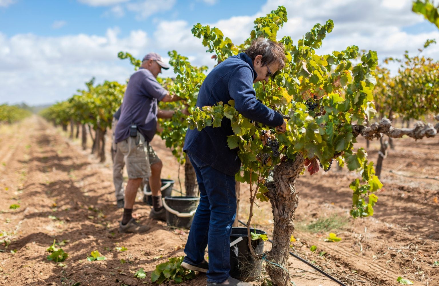 Caravan & Camping SA