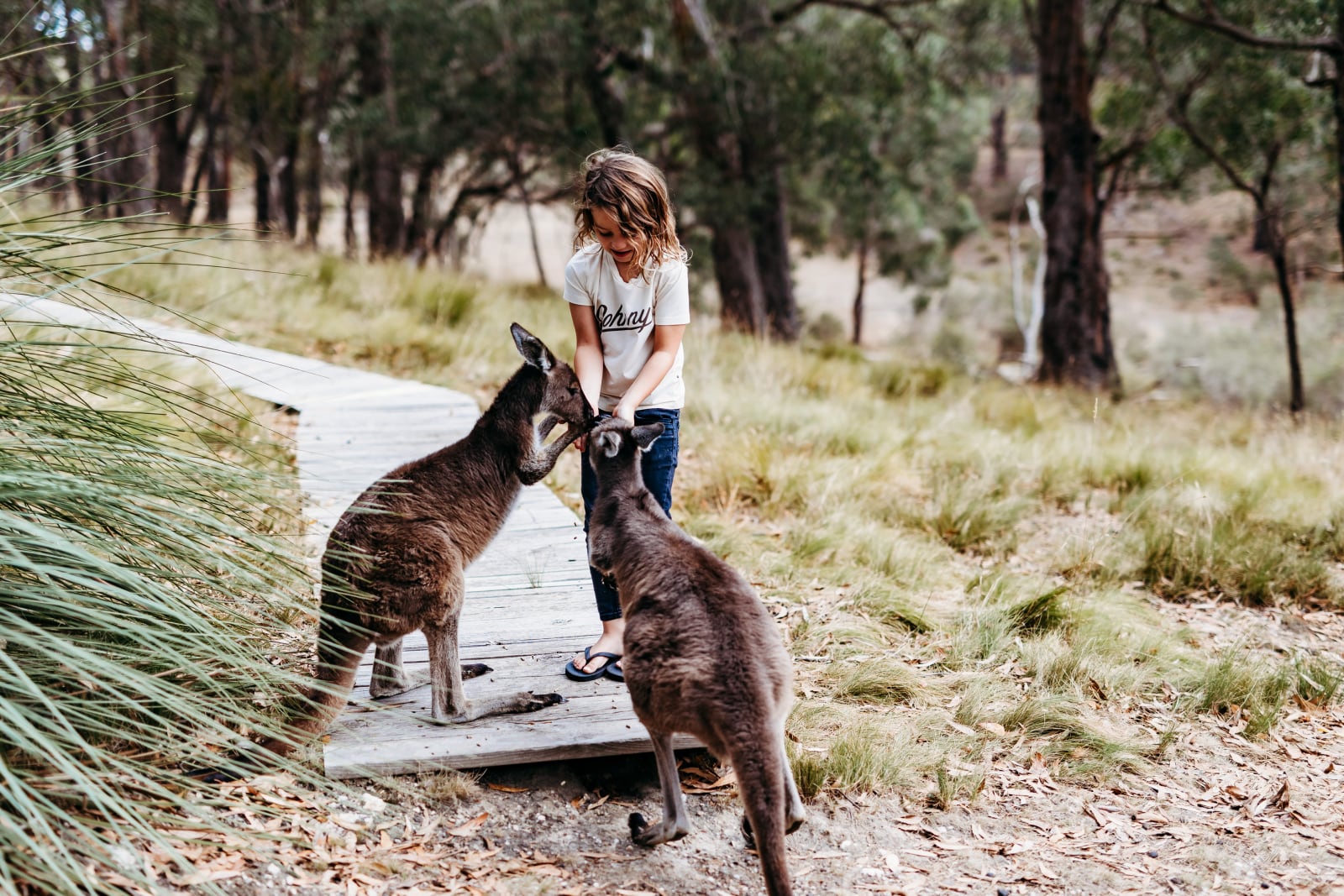 Caravan & Camping SA ADELAIDE HILLS